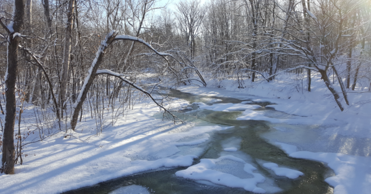 À la découverte de la biodiversité de la rivière Cap-Rouge