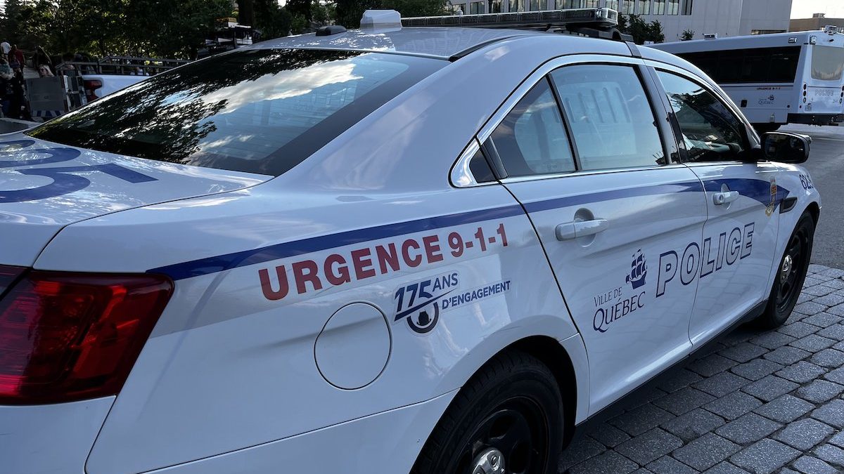 Deux arrestations pour des introductions par effraction
