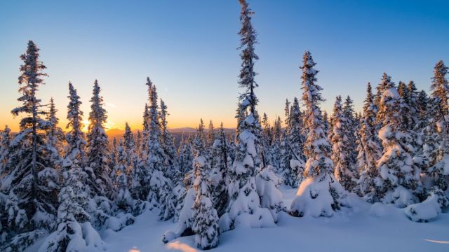 Une petite partie de Coq Ring?