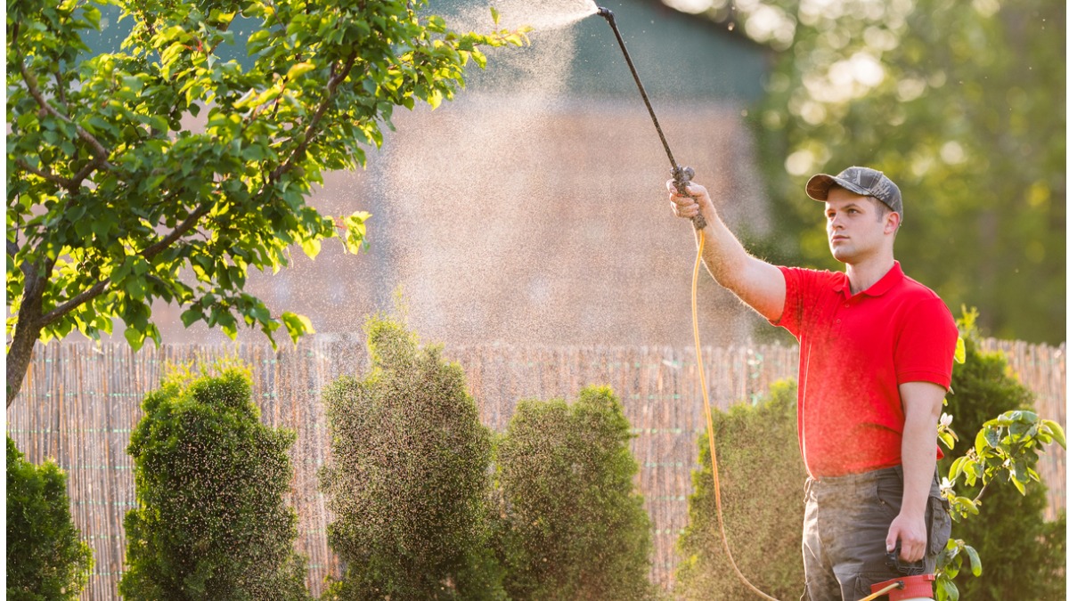 La Ville de Québec limitera l'utilisation des pesticides