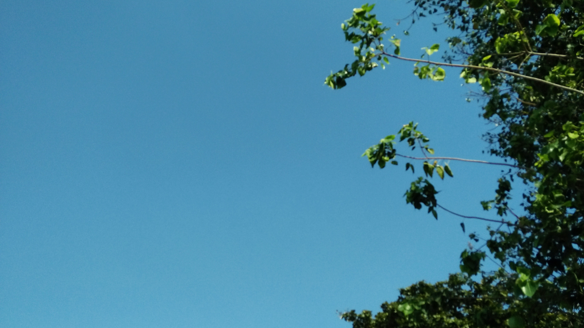 Données sur la qualité de l'air au Québec