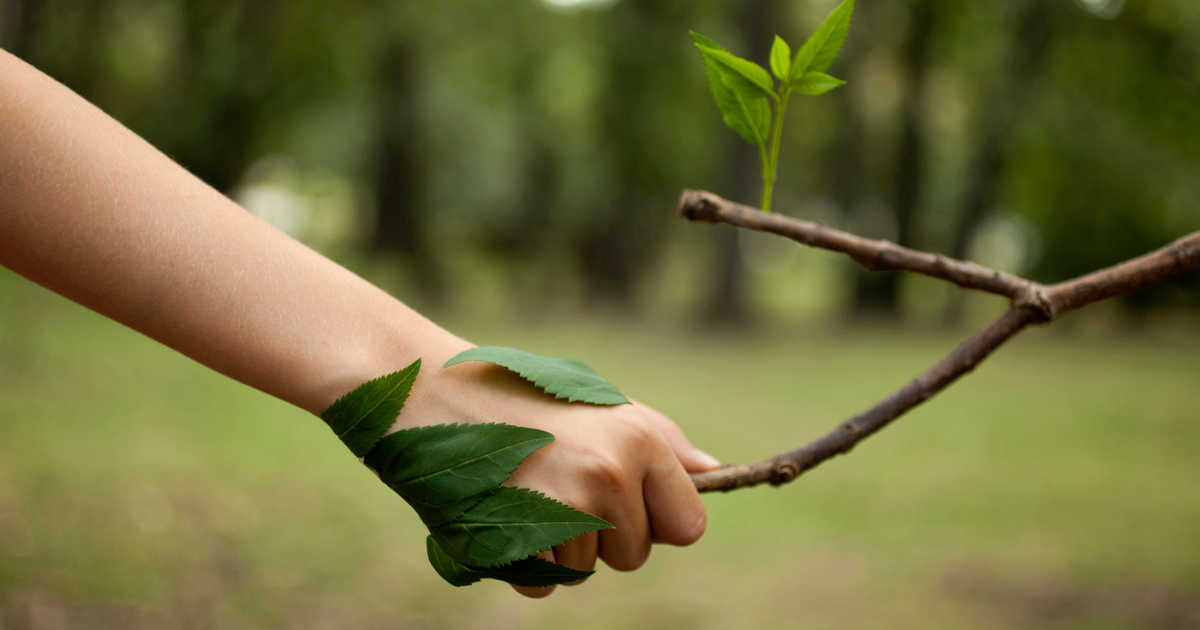 30 gestes faciles pour protéger l’environnement