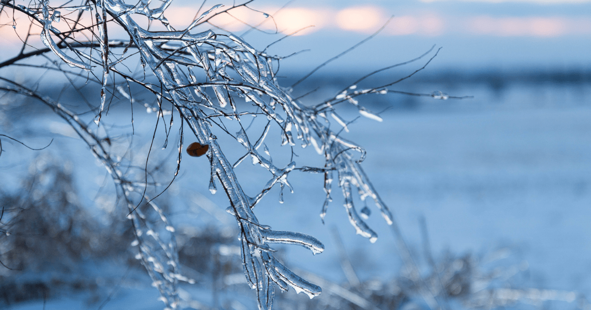 La neige et le grésil débuteront ce matin à Québec!