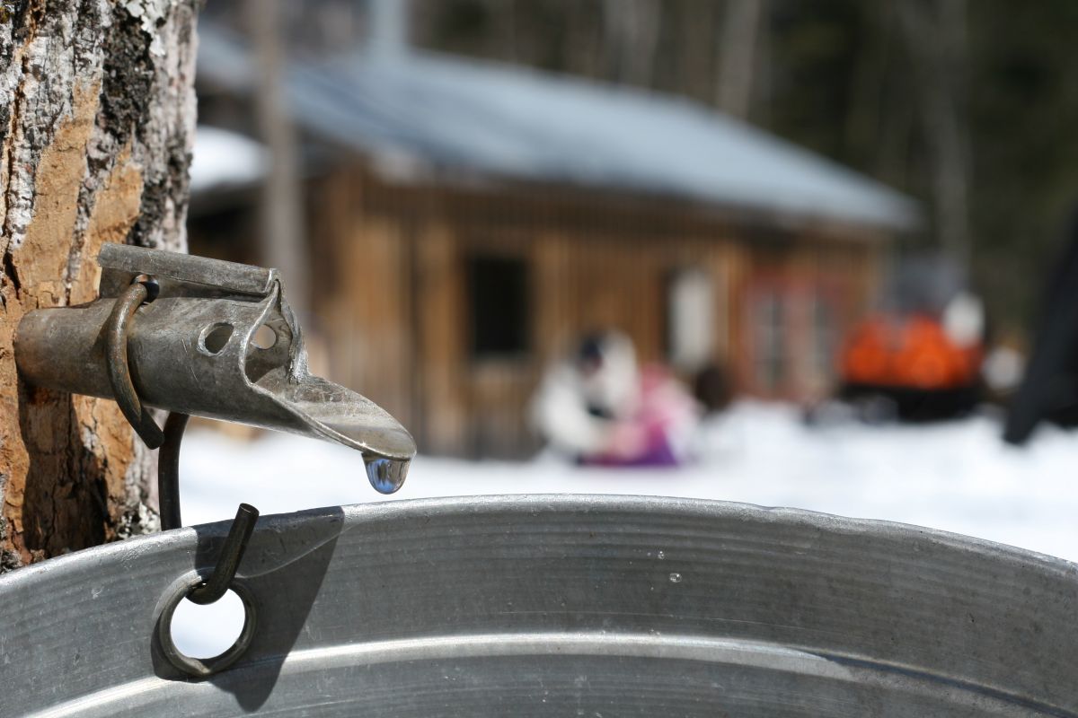 Des cabanes à sucre pour vous gâter partout au Québec