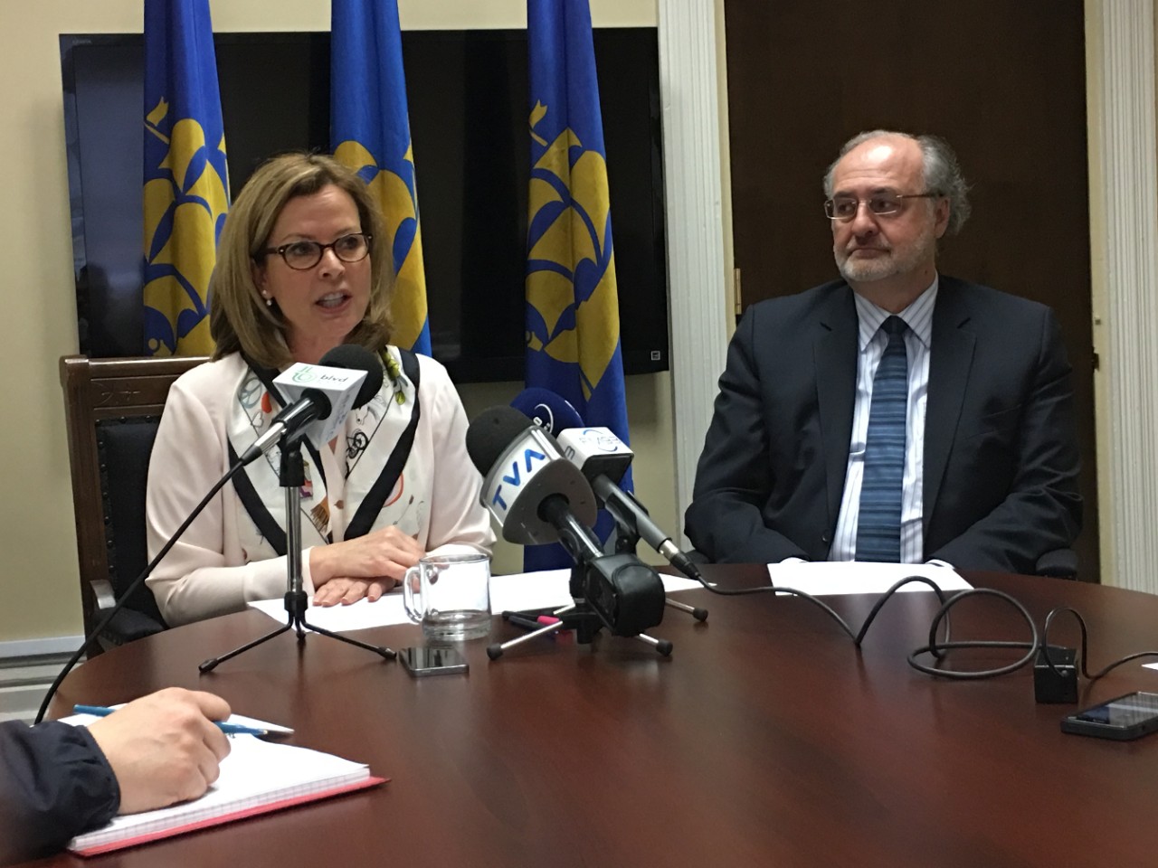 Anne Guérette désormais seule à Démocratie Québec